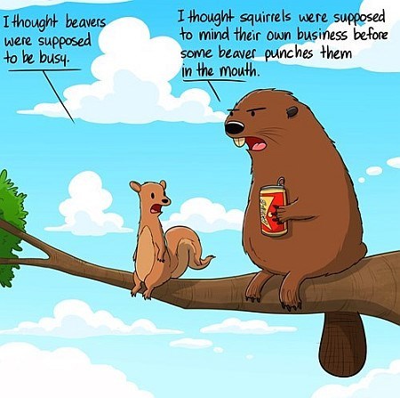 Jokes About Beavers